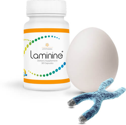 Laminine - Laminina - Laminina Lifepharm